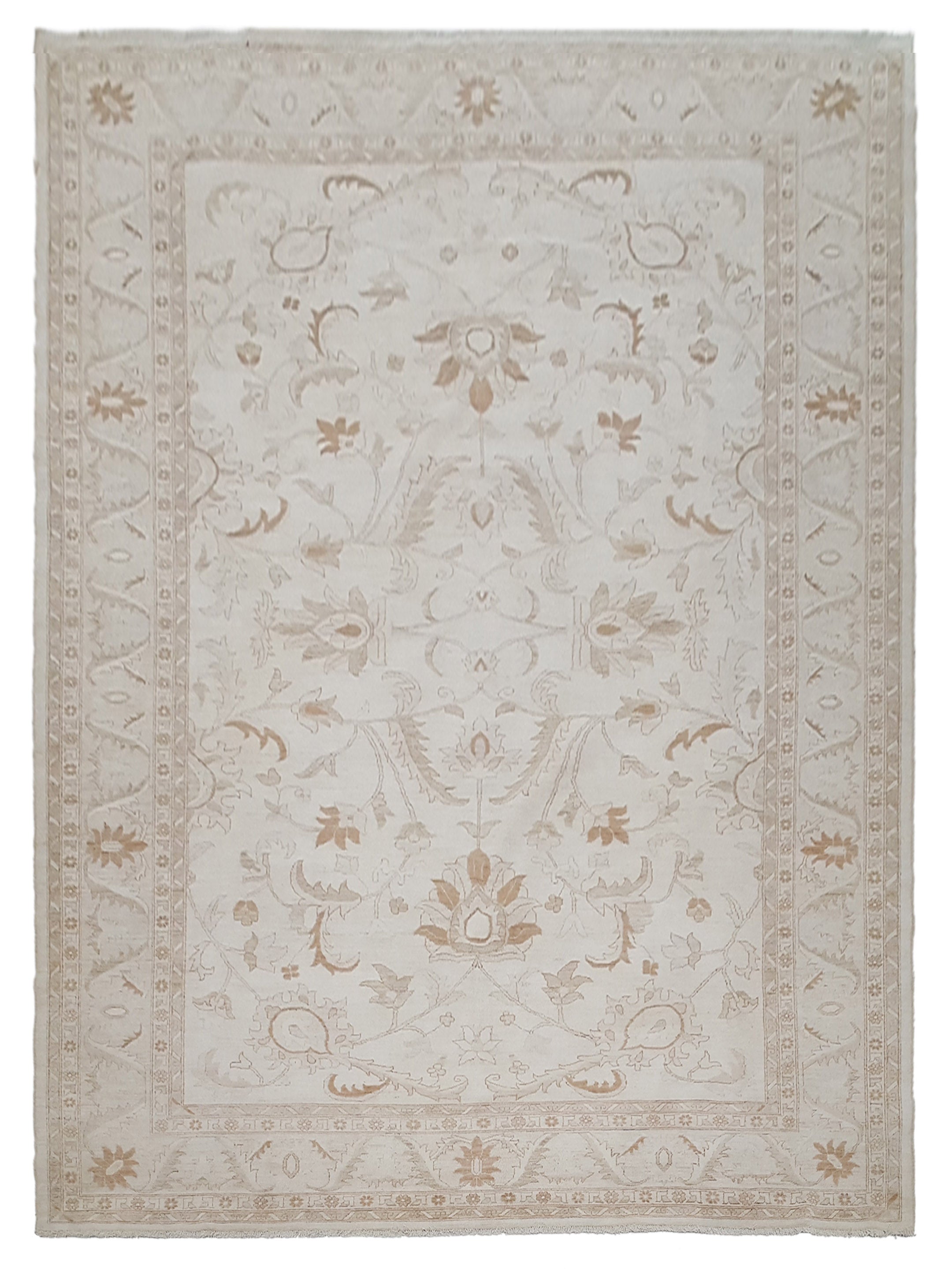 Pacific Ziegler 28850 Ivory Ivory Transitional Hand Knotted Rug ...